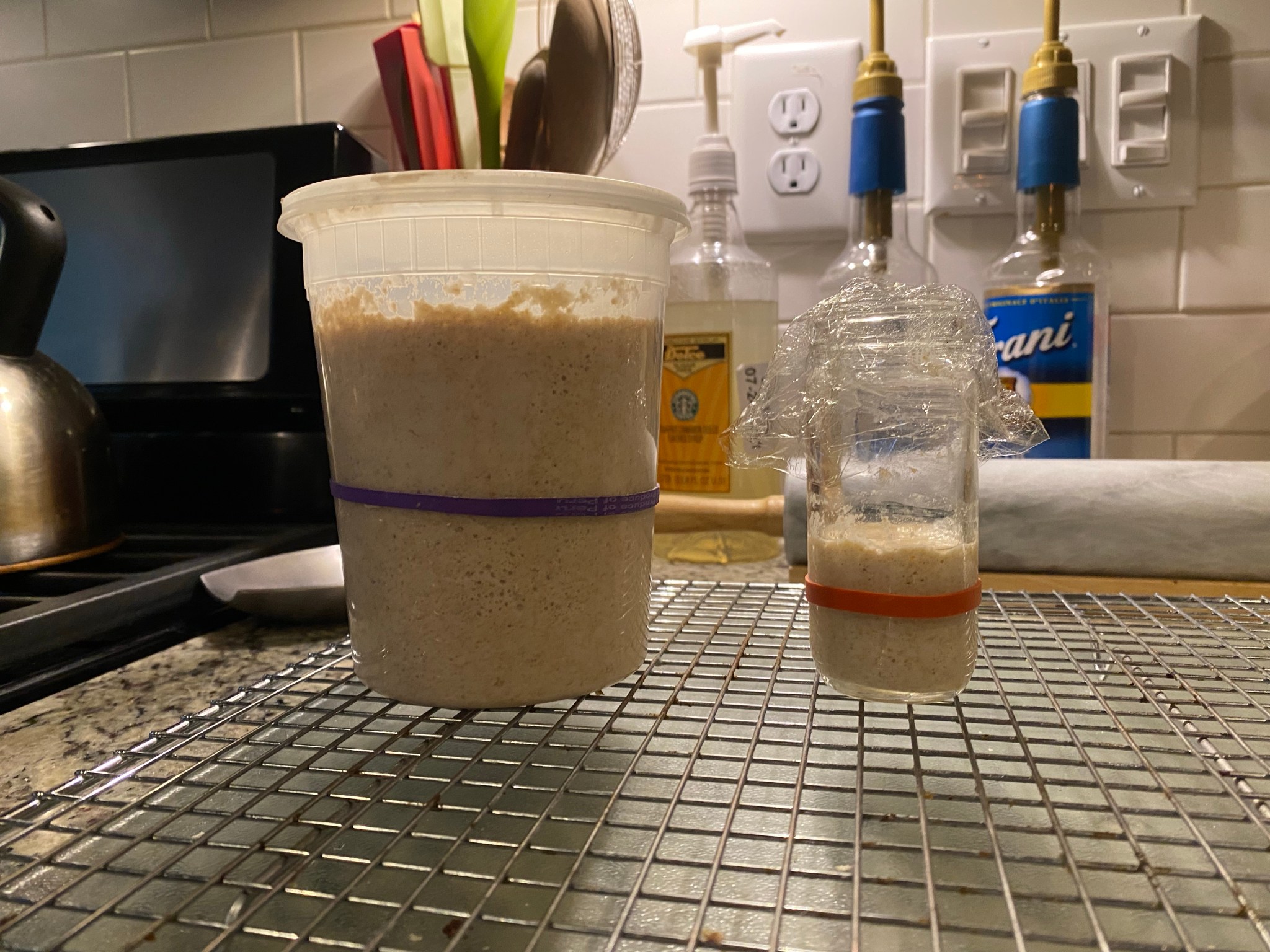 Aliquot Jar Experiment – Baked By Bear Sourdough