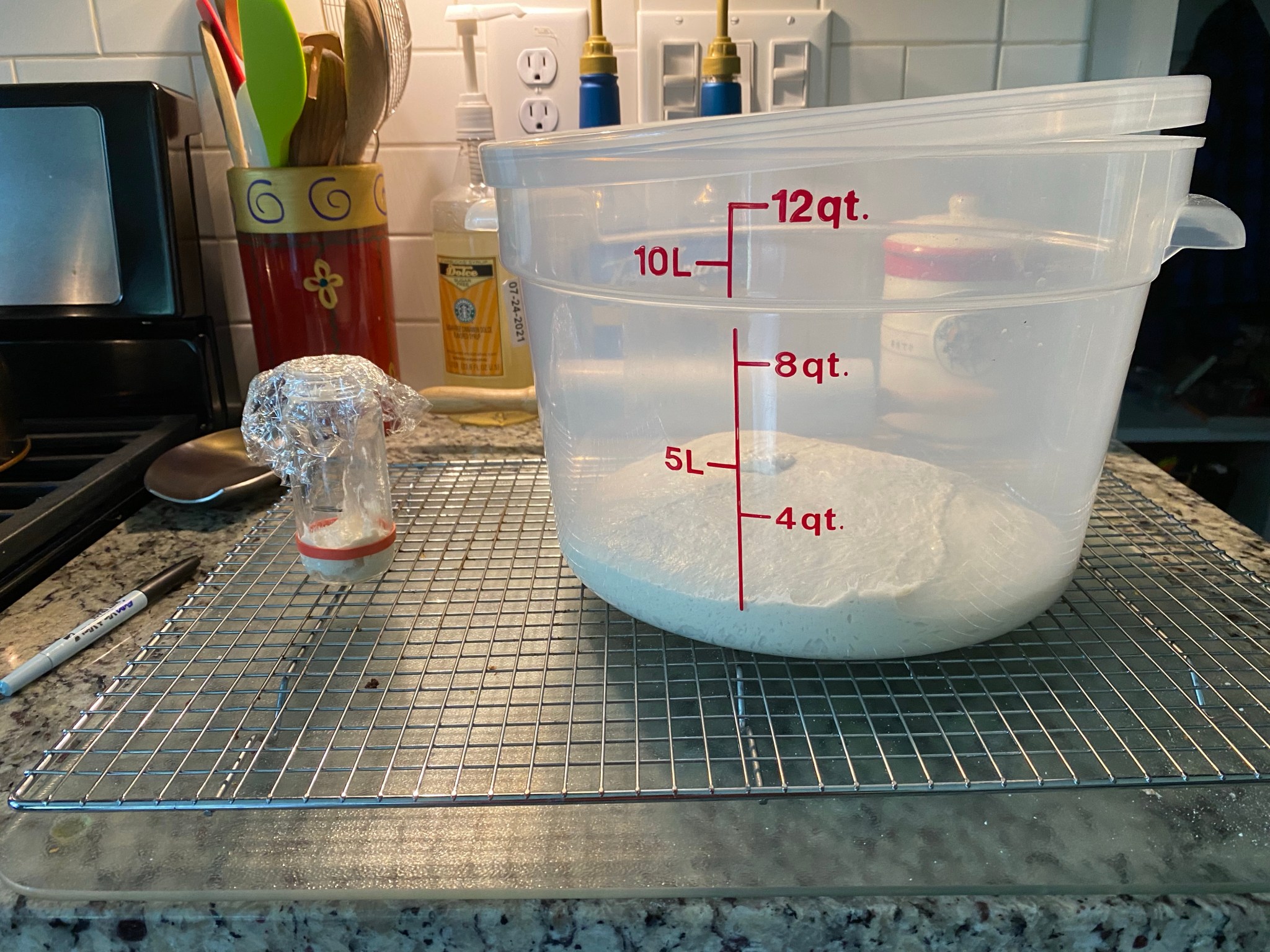Aliquot Jar Experiment – Baked By Bear Sourdough