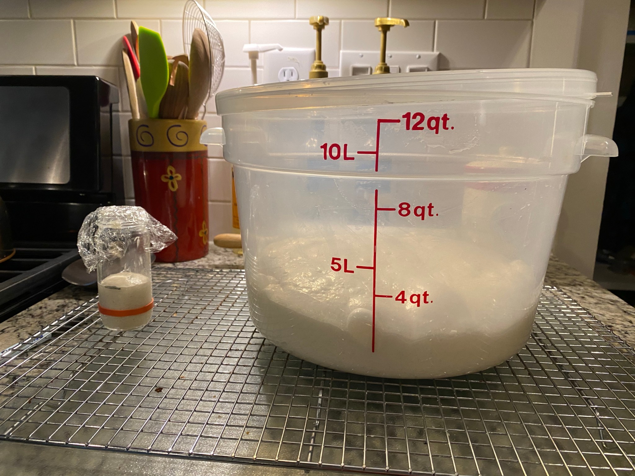 Aliquot Jar Experiment – Baked By Bear Sourdough