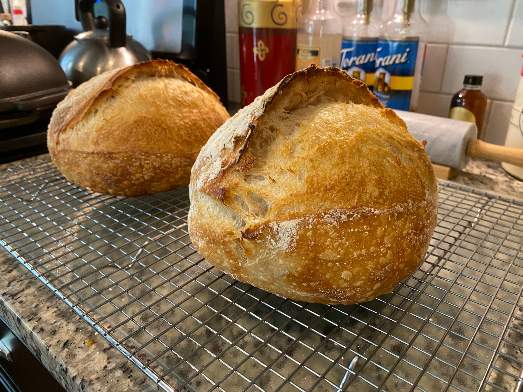 Aliquot Jar Final (for now) – Baked By Bear Sourdough