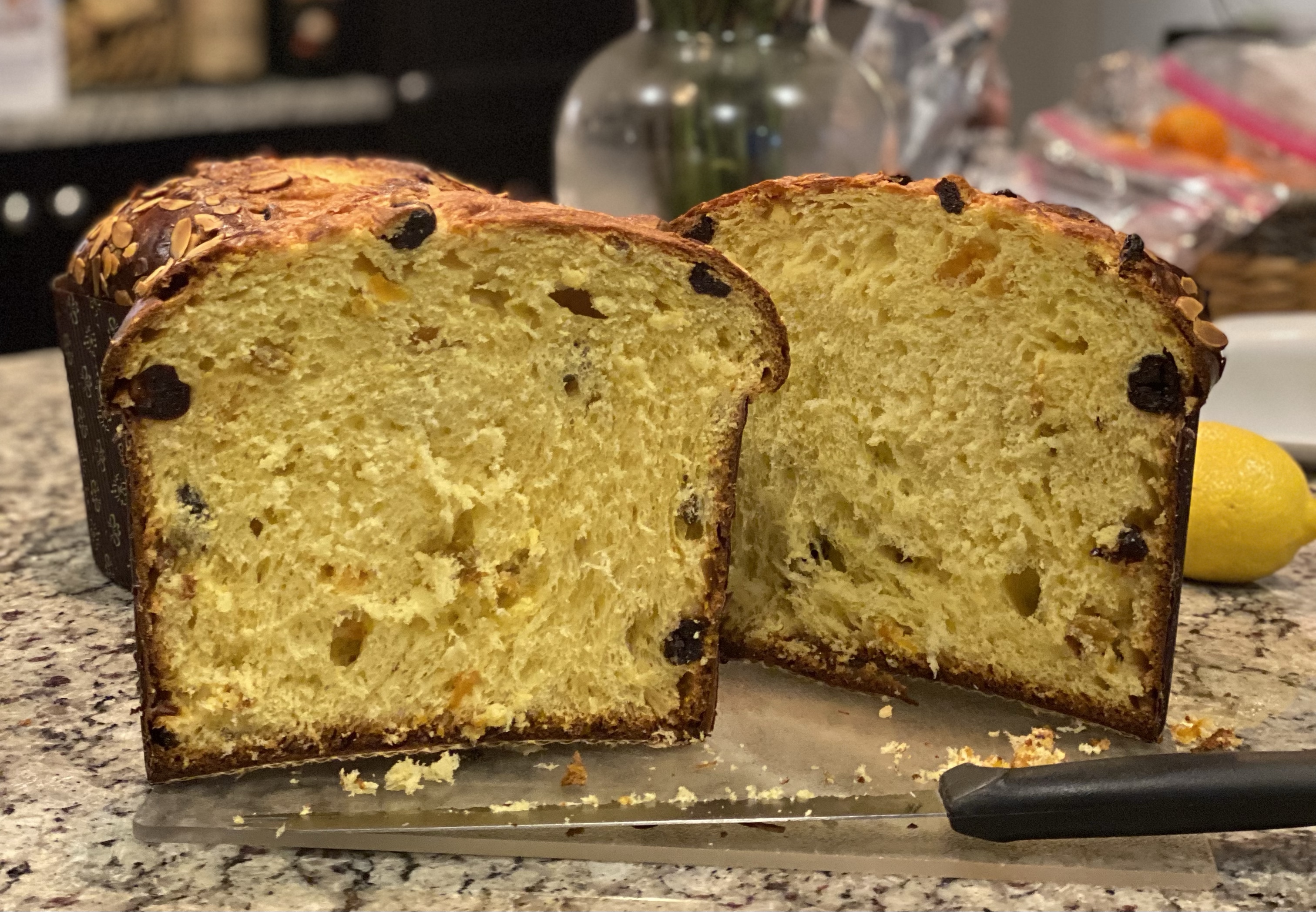 Sourdough Panettone II (Results) – Baked By Bear Sourdough